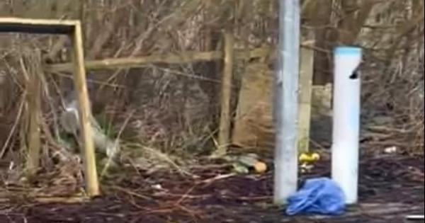 Anger at anti-social behaviour in graveyard - Alpha Newspaper Group