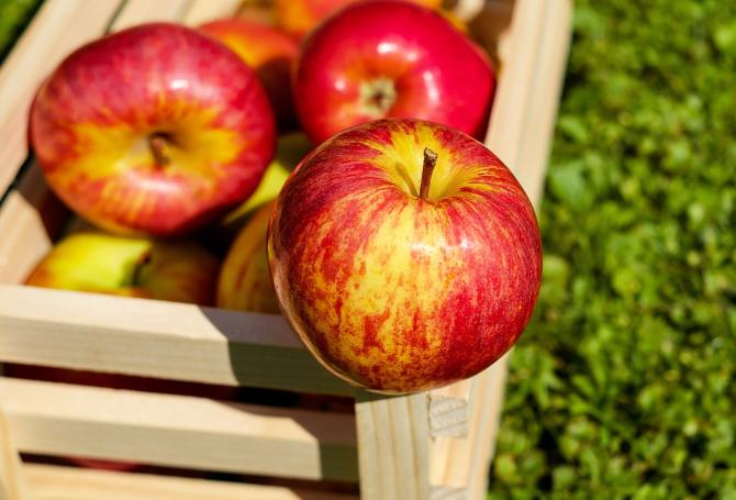 Castlederg Apple Fair is back and better than ever! - Alpha Newspaper Group