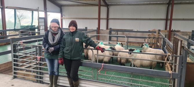 Plumbridge farm to open gates for Social Farming Awareness Week - Photo ...